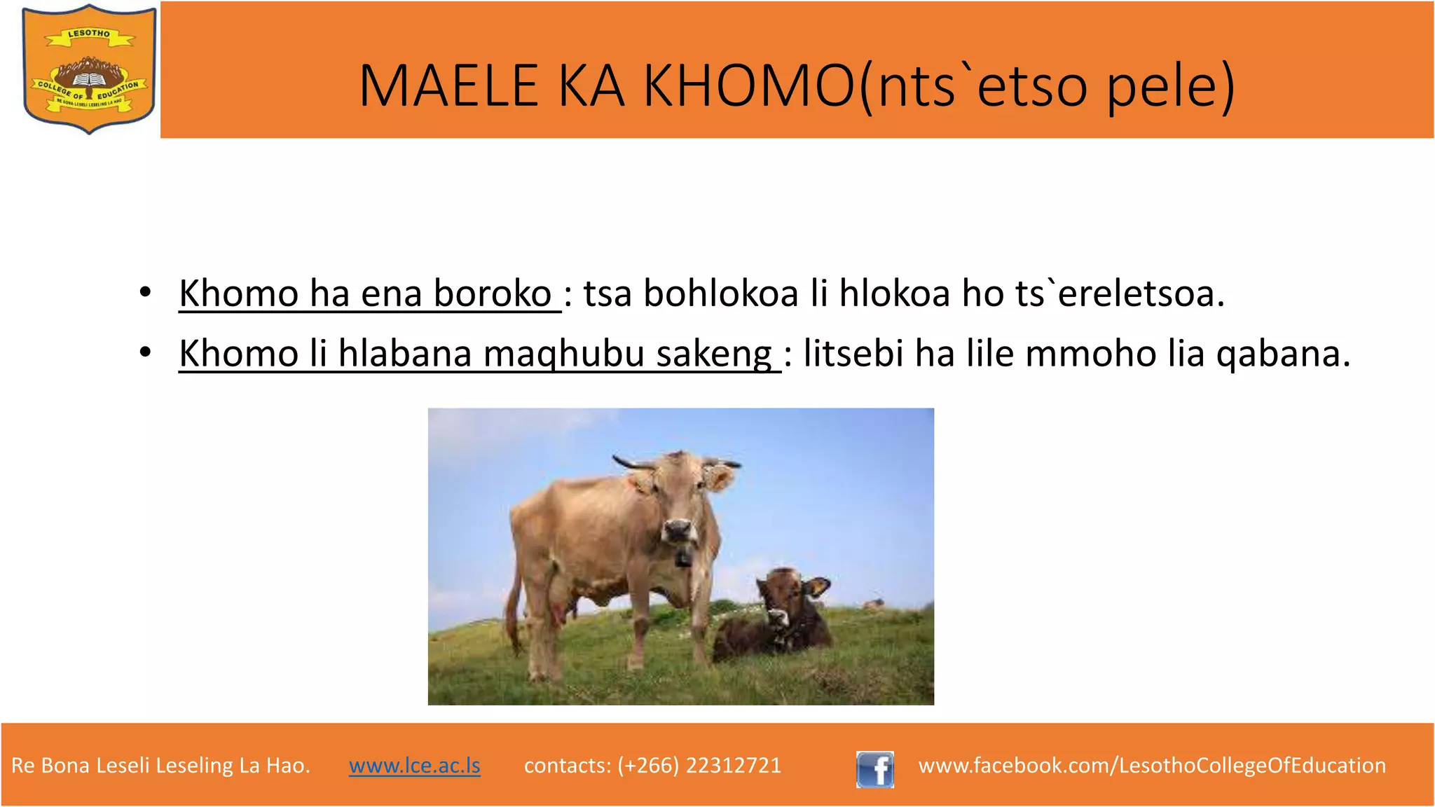 maele ka khomo | PPTX