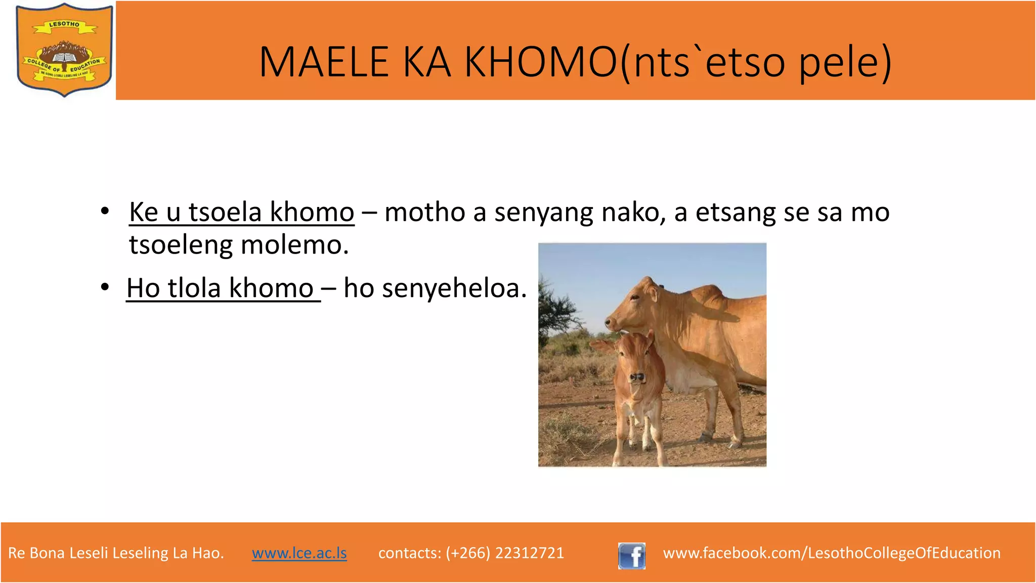 maele ka khomo | PPTX