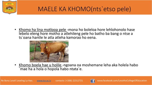 maele ka khomo | PPTX