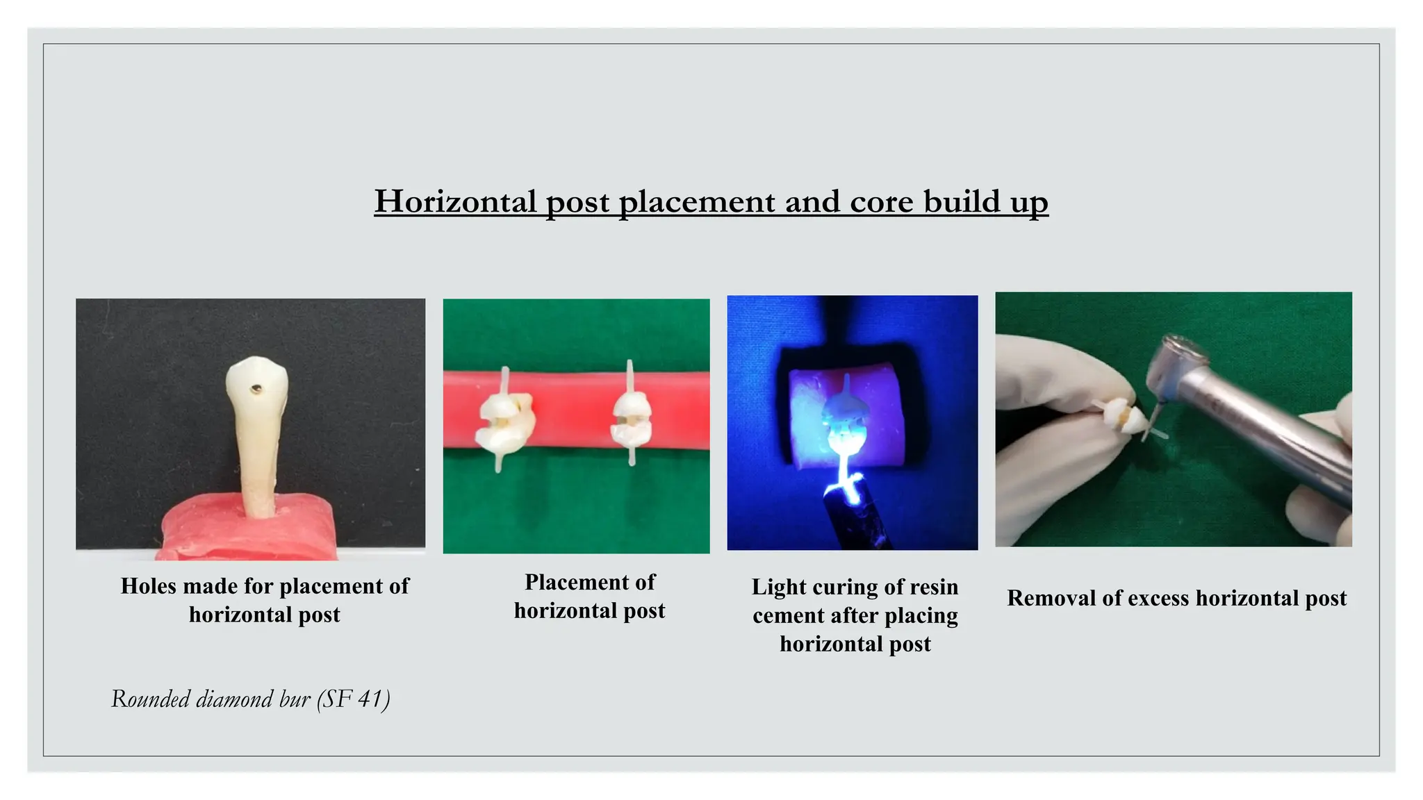 you know its all about the boom adam cole babe babe | PPTX