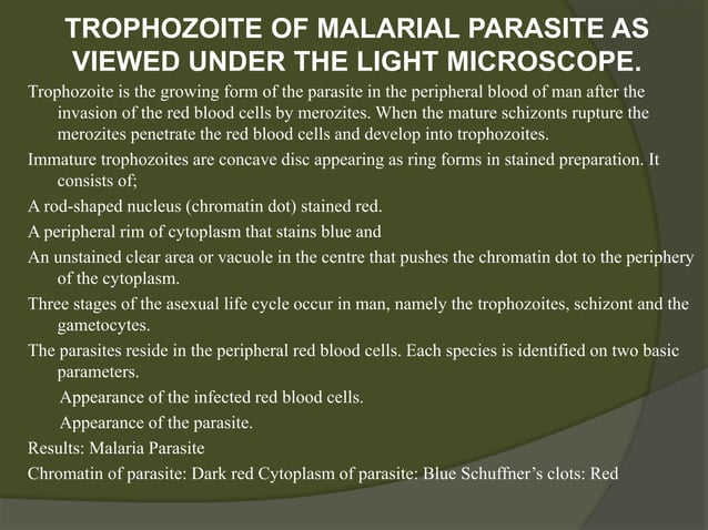 Malaria parasites test using testing kit SLIDE.pptx