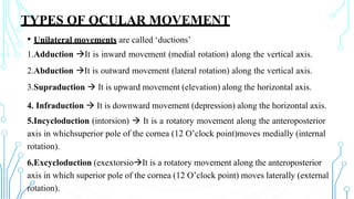 Extraocular muscles. presentation ophthal | PPTX | Eye and Vision ...