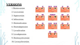 Extraocular muscles. presentation ophthal | PPTX | Eye and Vision ...