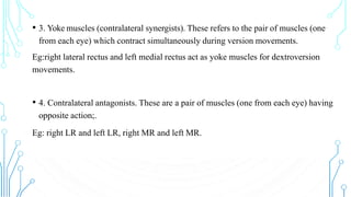 Extraocular muscles. presentation ophthal | PPTX | Eye and Vision ...