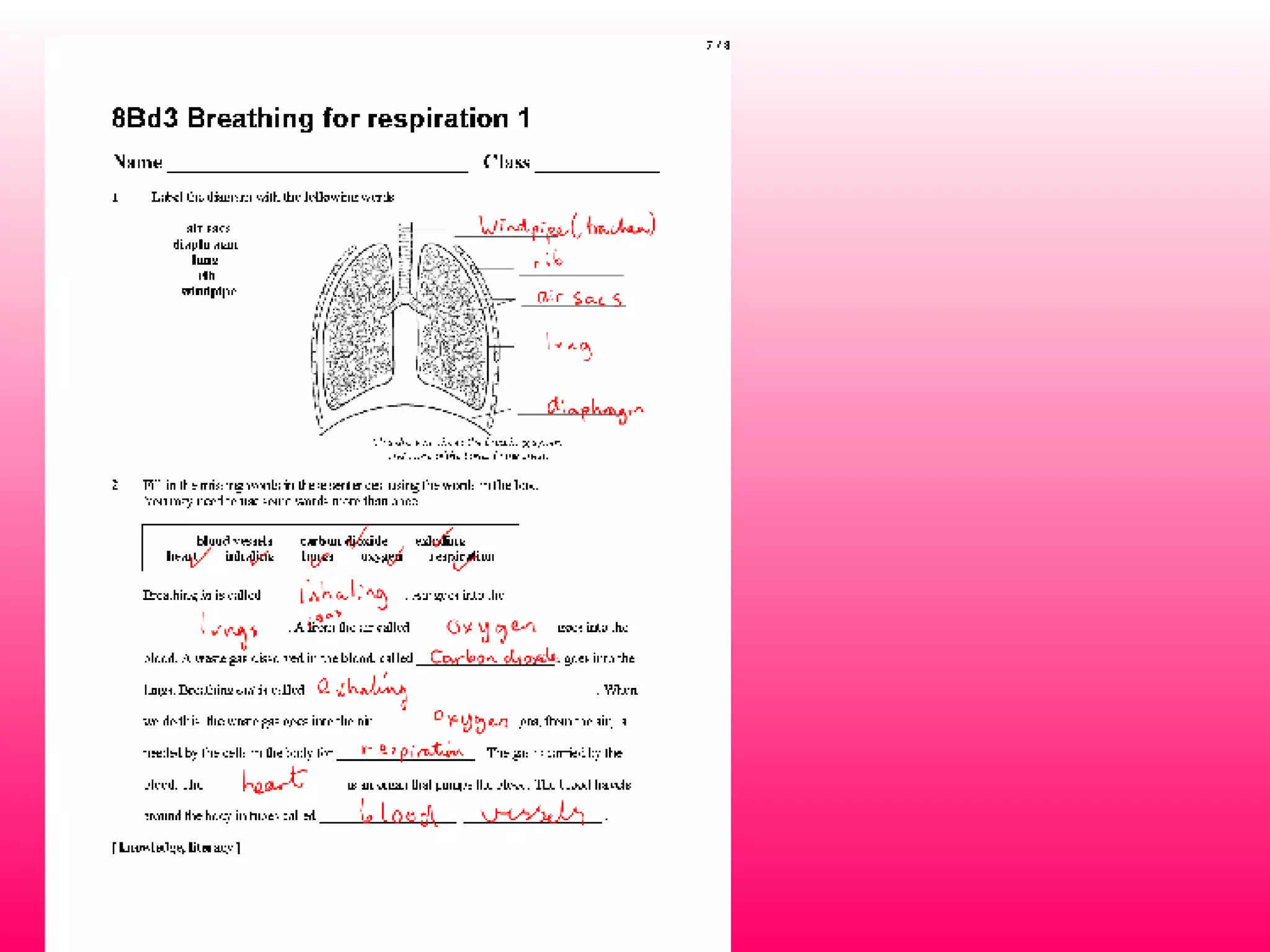 Copy Of 01 Breathing | PPT