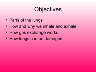 Copy Of 01 Breathing | PPT