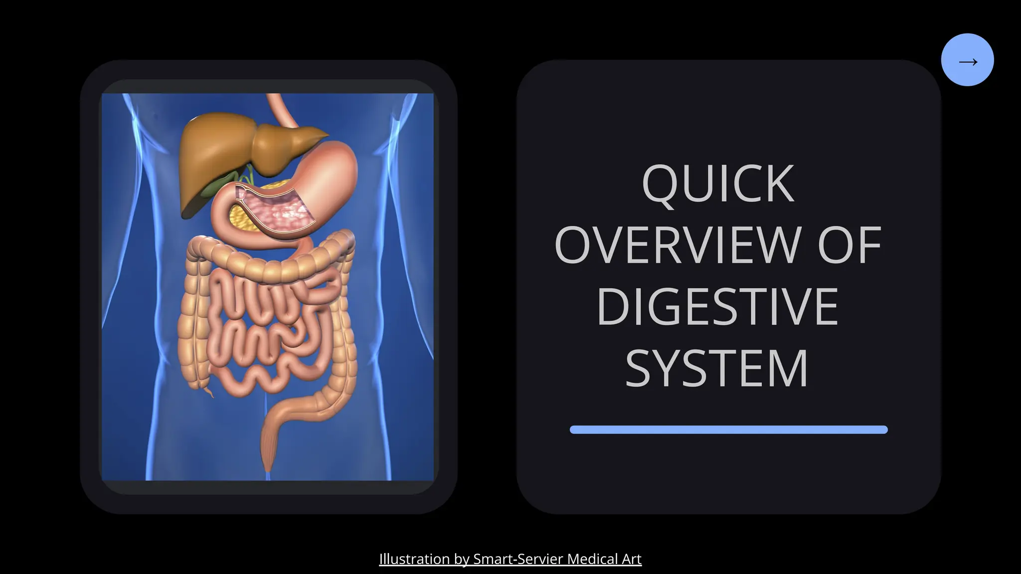 Copy-of-Digestive-System-Case-Study-by-Slidesgo.pdf