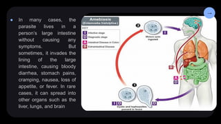 Copy-of-Digestive-System-Case-Study-by-Slidesgo.pdf