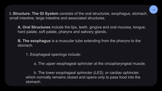 Copy-of-Digestive-System-Case-Study-by-Slidesgo.pdf