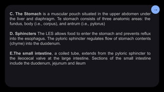 Copy-of-Digestive-System-Case-Study-by-Slidesgo.pdf