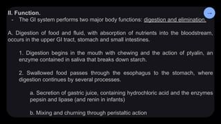 Copy-of-Digestive-System-Case-Study-by-Slidesgo.pdf