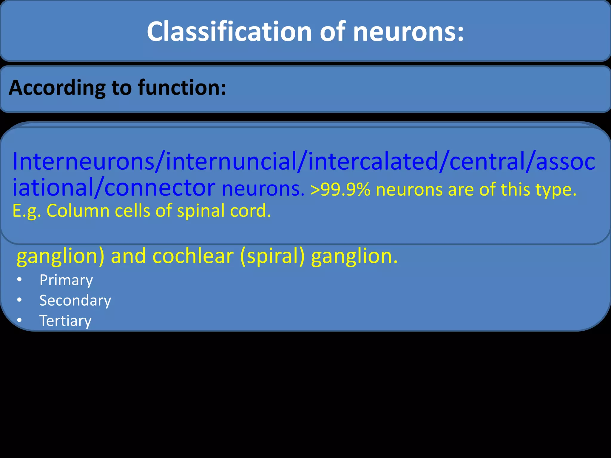 Histology of nervous system | PPTX