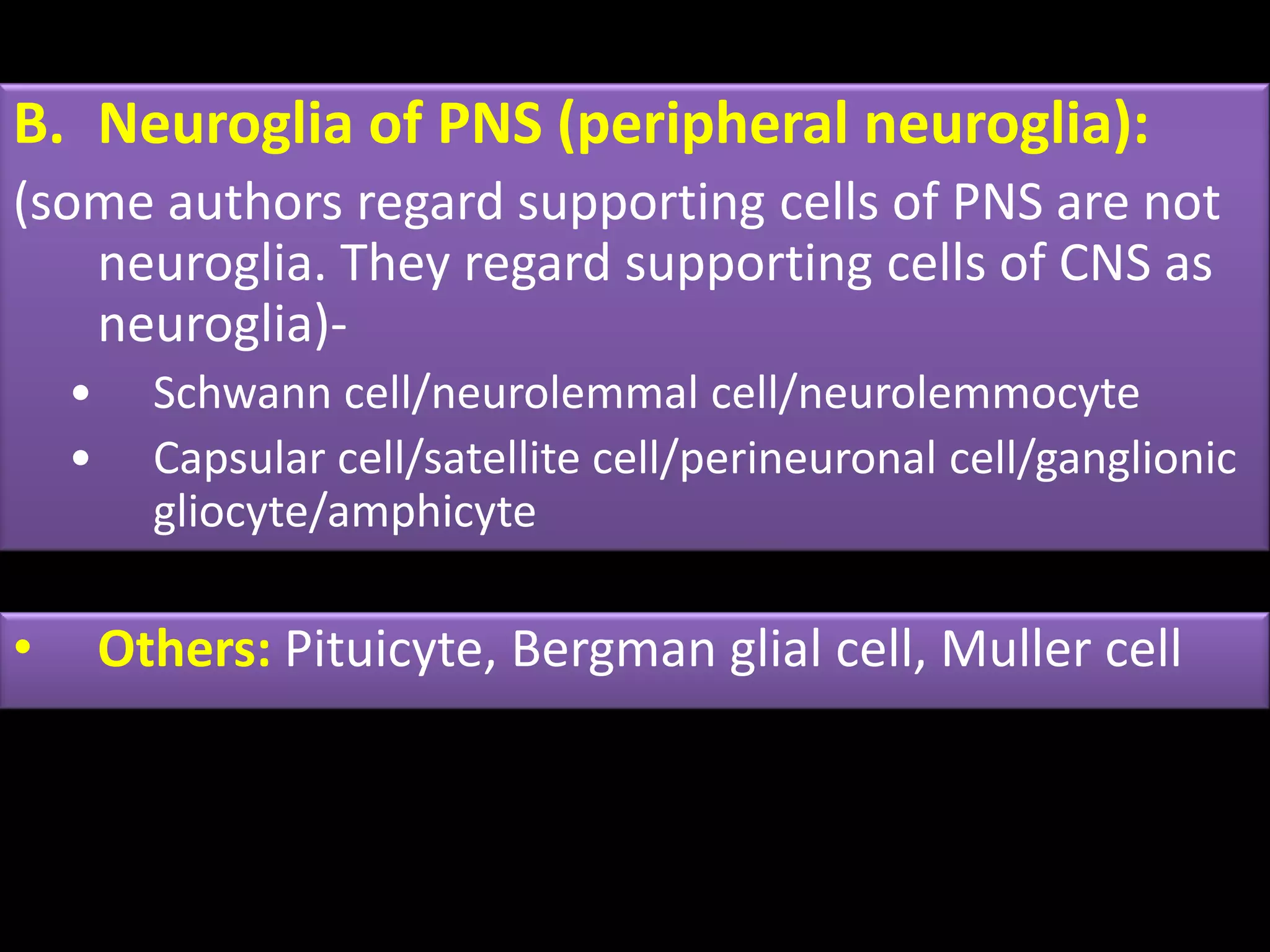Histology of nervous system | PPTX