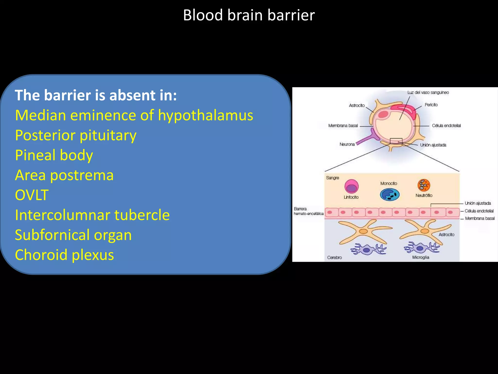 Histology of nervous system | PPTX