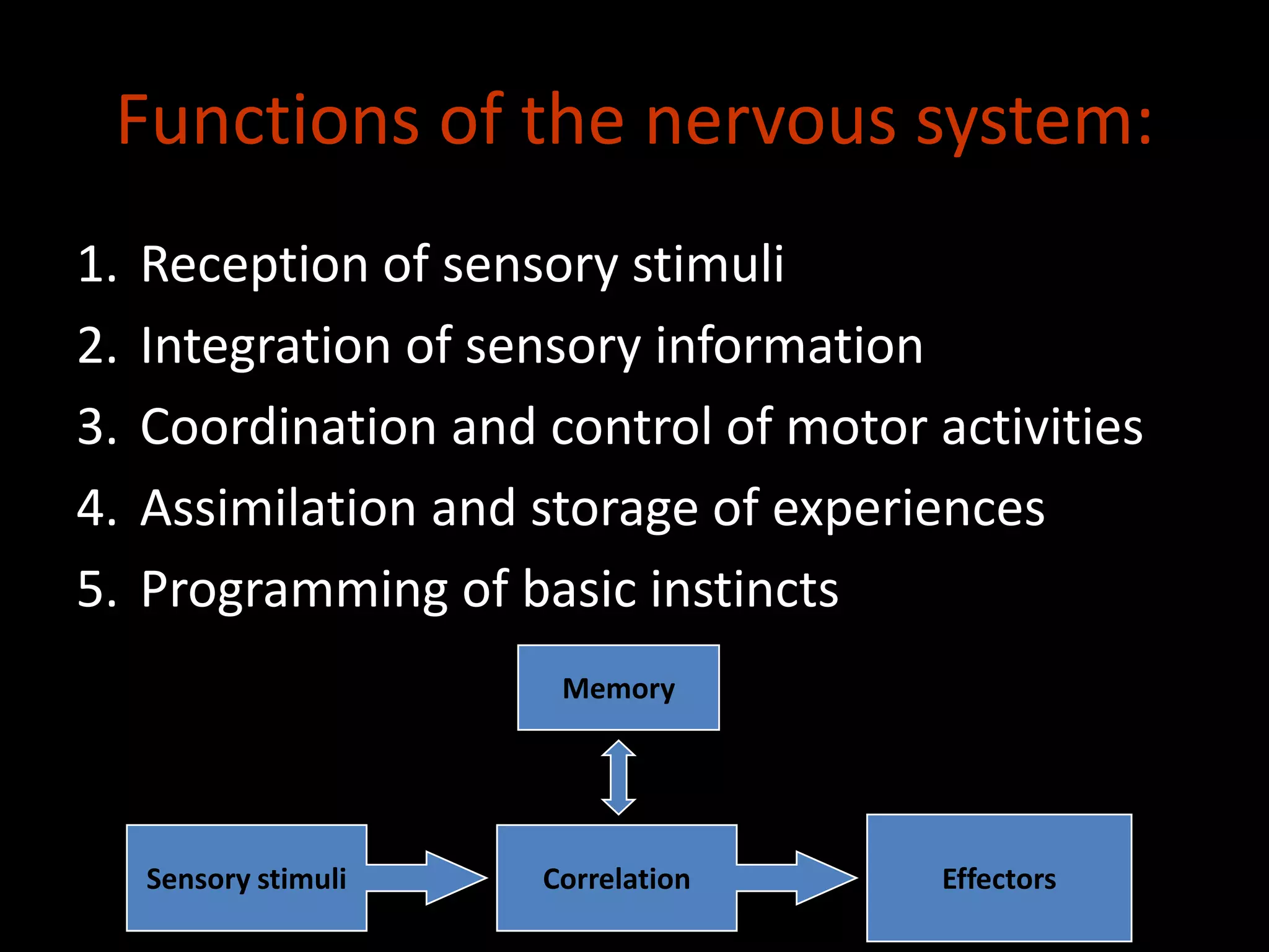 Histology of nervous system | PPTX