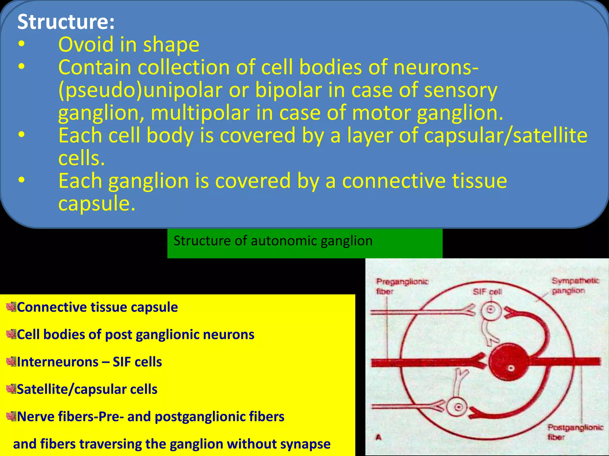 Histology of nervous system | PPTX