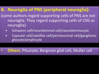 Histology of nervous system | PPTX