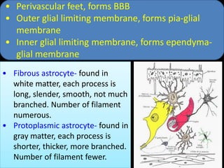 Histology of nervous system | PPTX
