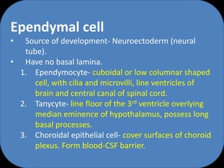 Histology of nervous system | PPTX