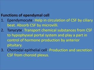 Histology of nervous system | PPTX