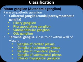 Histology of nervous system | PPTX