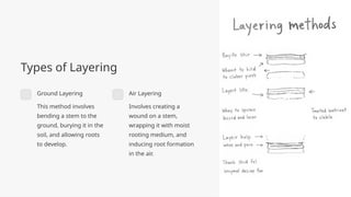Copy-of-Layering-Propagation-Techniques-for-Plant-Enthusiasts (1).pptx