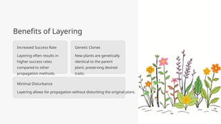 Copy-of-Layering-Propagation-Techniques-for-Plant-Enthusiasts (1).pptx