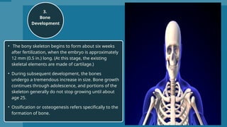 Copy-of-LESSON-2-HUMAN-ANATOMY_11 organs.pptx
