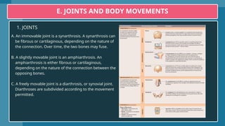 Copy-of-LESSON-2-HUMAN-ANATOMY_11 organs.pptx