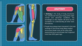 Copy-of-LESSON-2-HUMAN-ANATOMY_11 organs.pptx