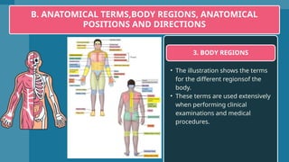 Copy-of-LESSON-2-HUMAN-ANATOMY_11 organs.pptx