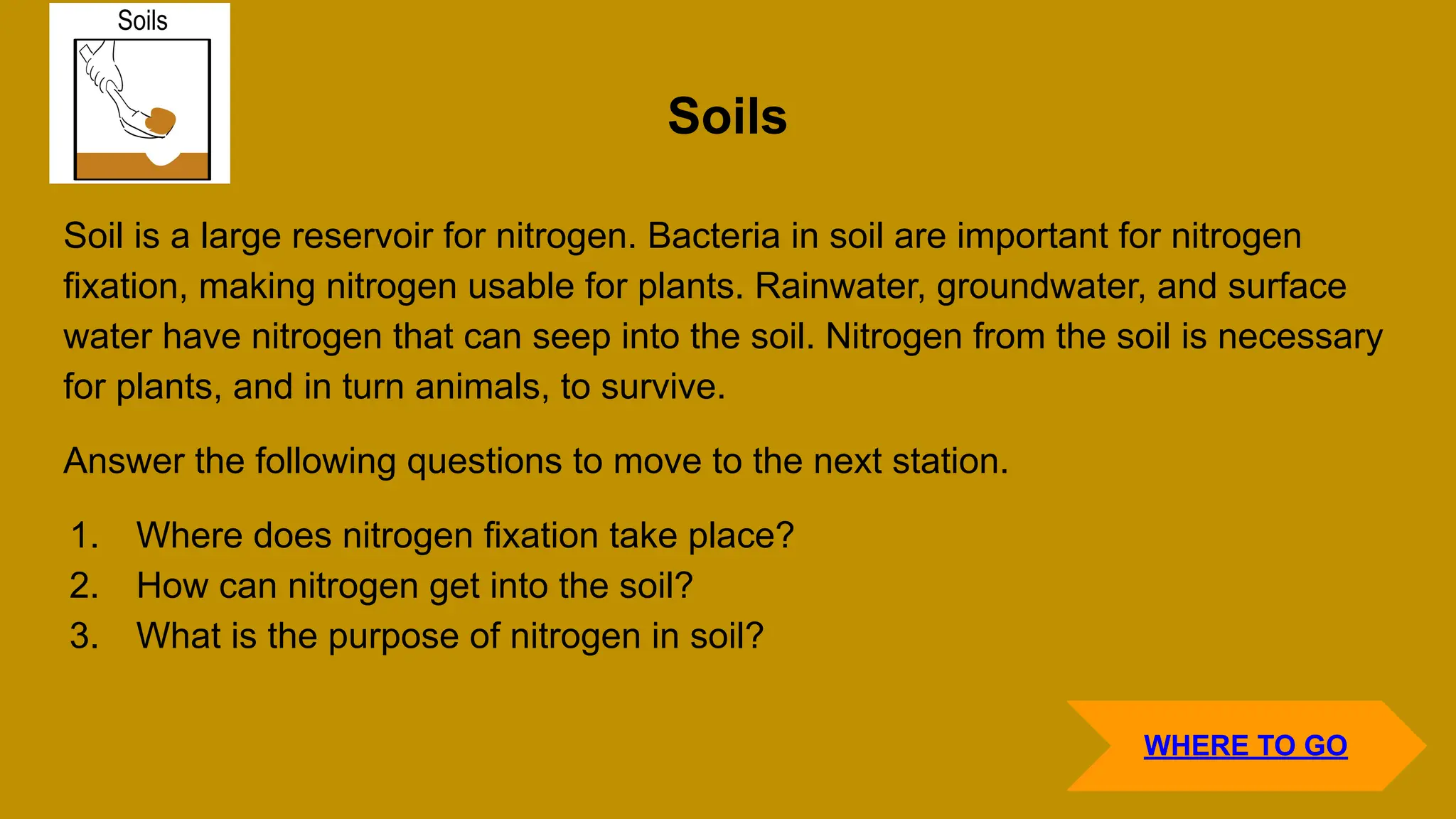 Copy-of-Nitrogen-Cycle-Game.pdf(cttro)13 | PDF