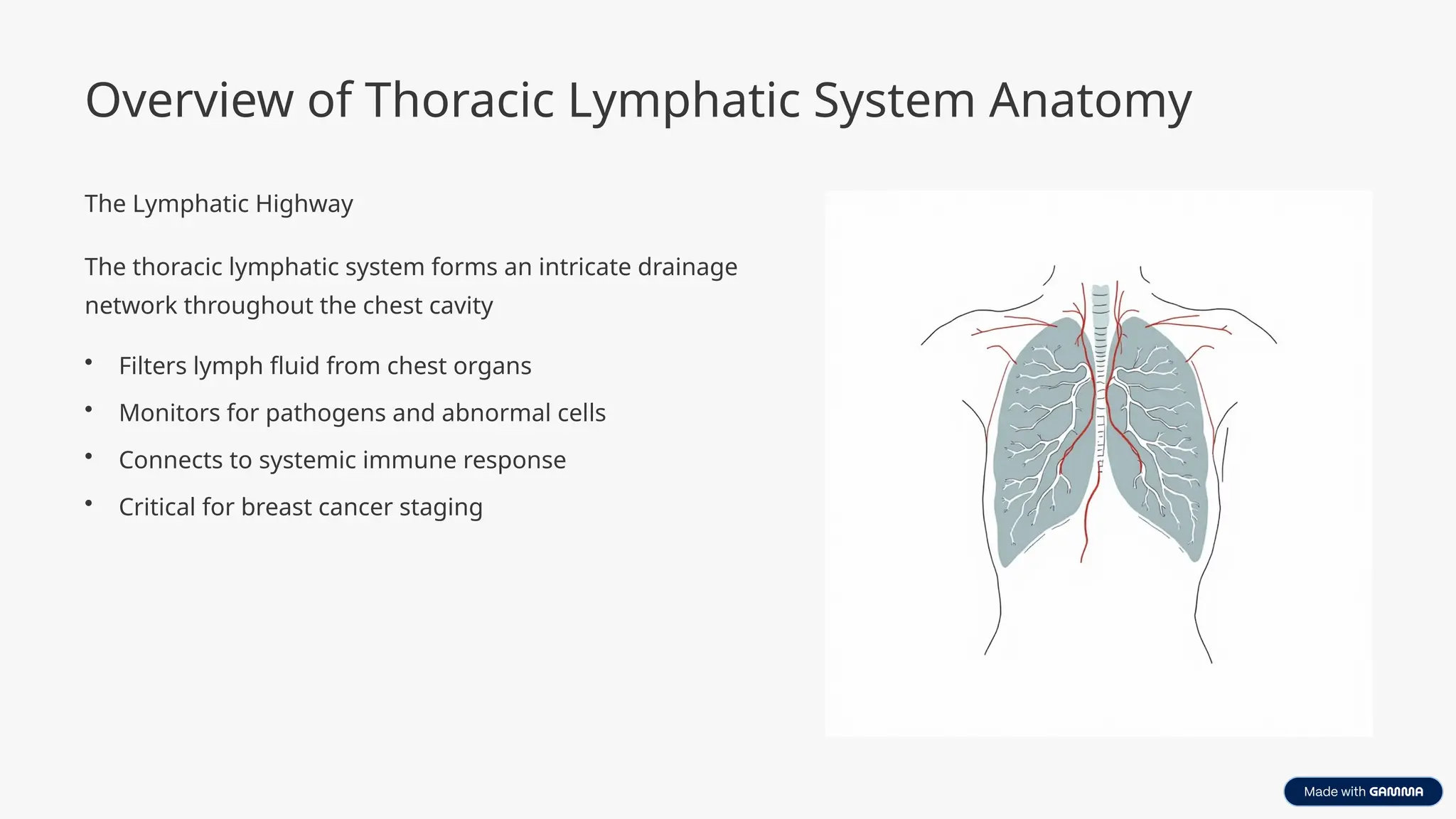 Copy-of-Thoracic-Lymph-Nodes-Anatomy-and-Clinical-Significance.pptx