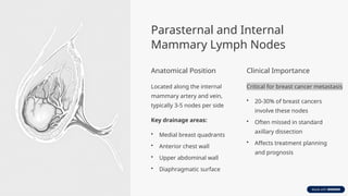 Copy-of-Thoracic-Lymph-Nodes-Anatomy-and-Clinical-Significance.pptx