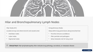Copy-of-Thoracic-Lymph-Nodes-Anatomy-and-Clinical-Significance.pptx