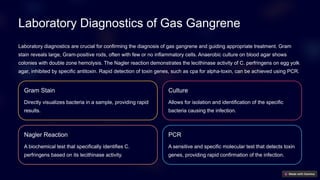 Microbiology infectious disease gas gangrene | PDF