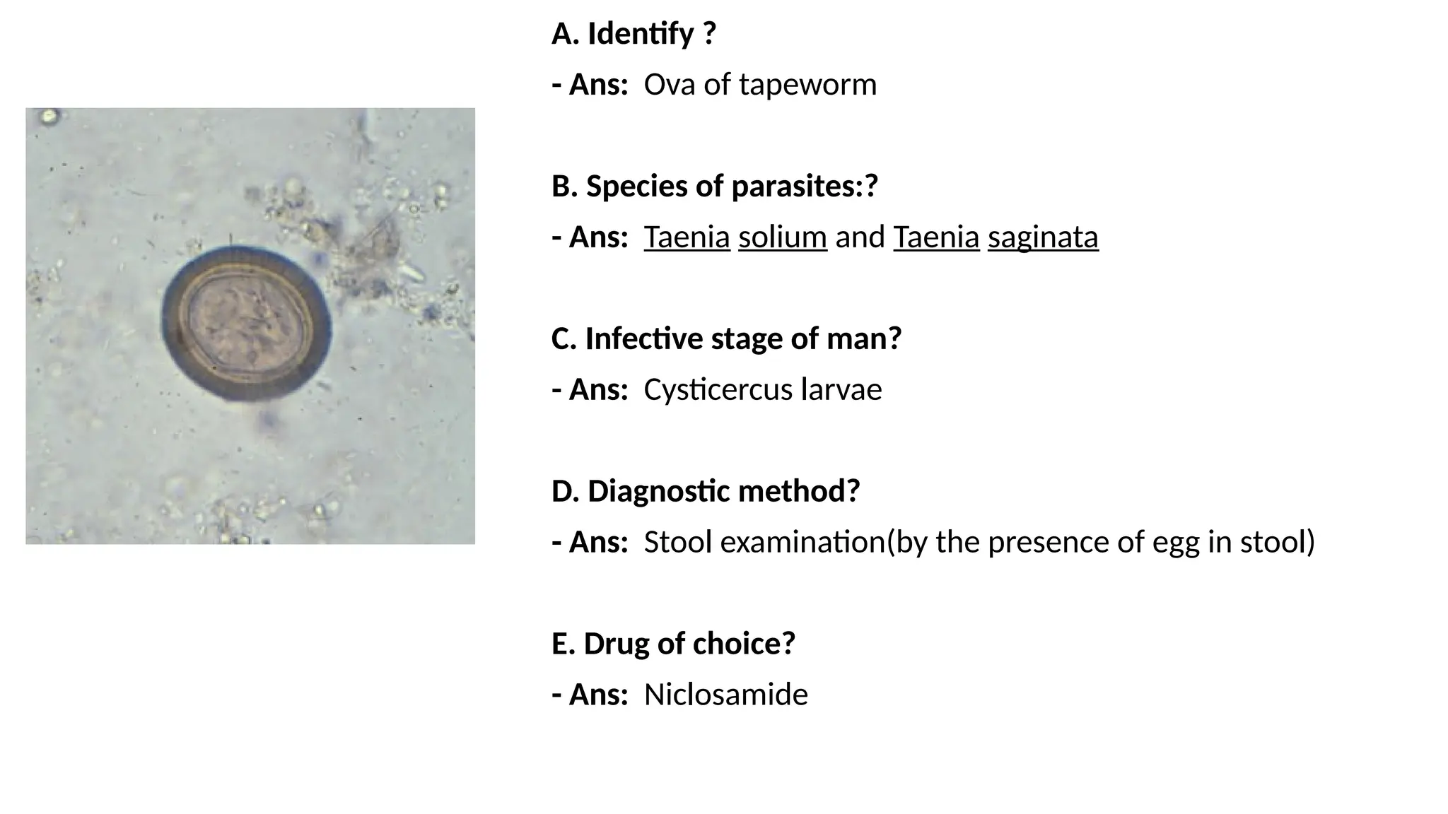 Copy2-Microbiology practiclllllllal.pptx