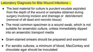Zoonotic infection | PDF