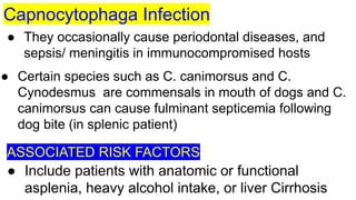 Zoonotic infection | PDF