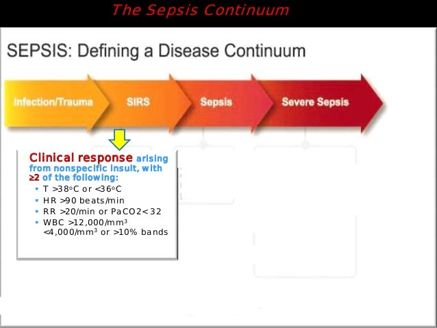 Copy (2) of sepsis present เซกา revised