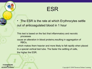 Copy (4) Of Lesson 2 12 Laboratory Esr | PPT | Blood Disorders ...