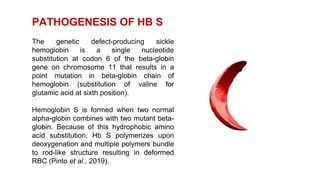 MOLECULAR PATHOGENESIS OF PREVALENT HEMOGLOBINOPATHIES | PPTX