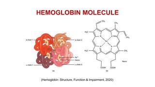 MOLECULAR PATHOGENESIS OF PREVALENT HEMOGLOBINOPATHIES | PPTX