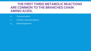 METABOLISM OF BRANCHED CHAIN AMINO ACIDS.pptx