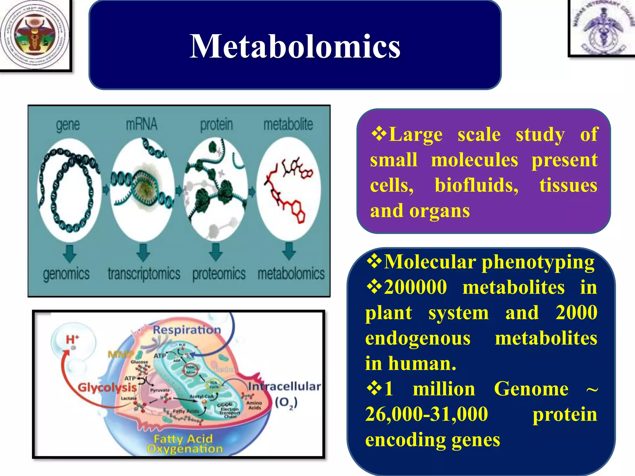 Copy metabolomics | PDF