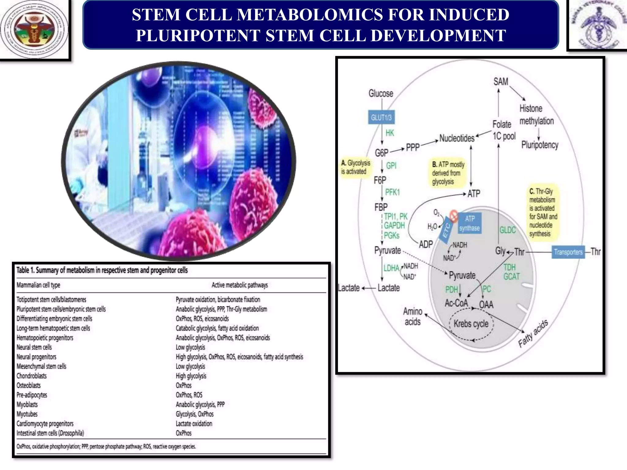 Copy metabolomics | PDF