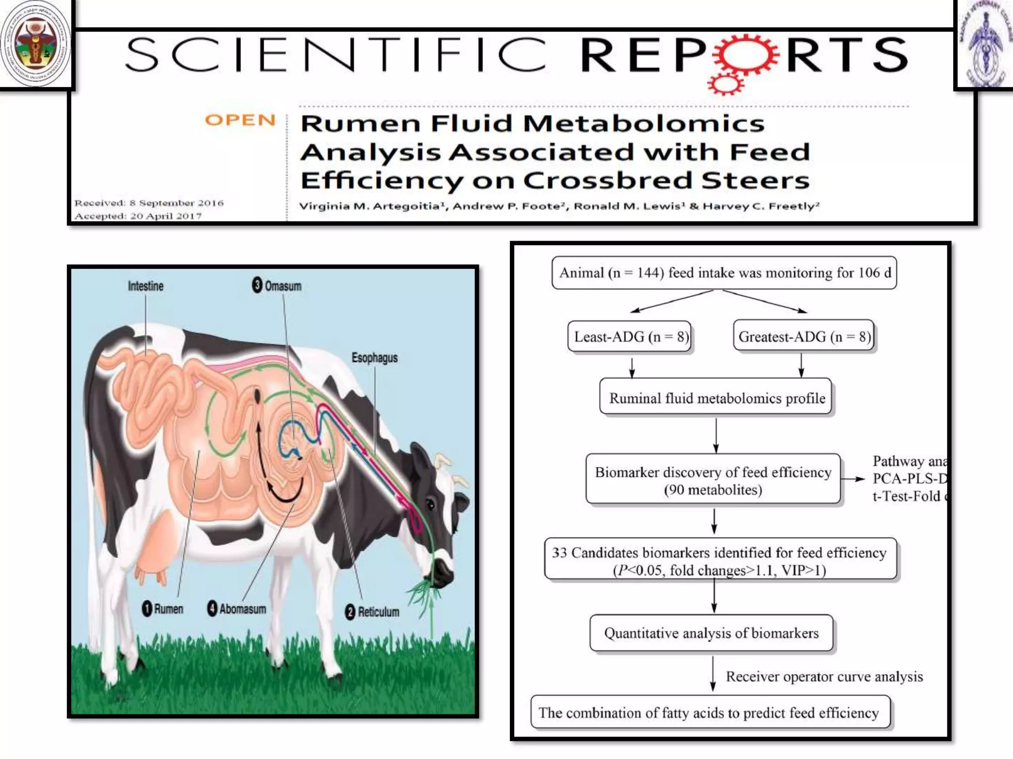Copy metabolomics | PDF