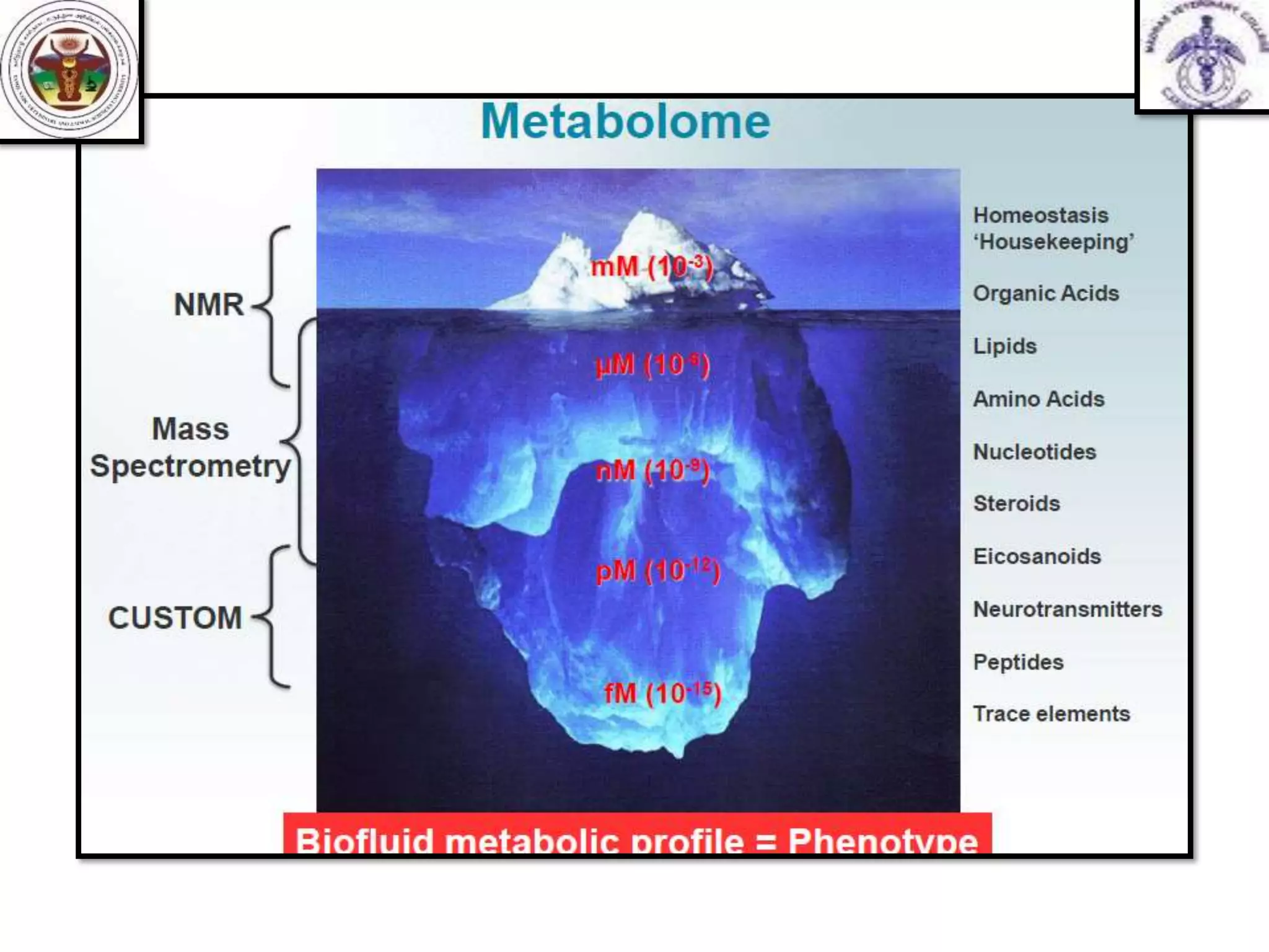 Copy metabolomics | PDF