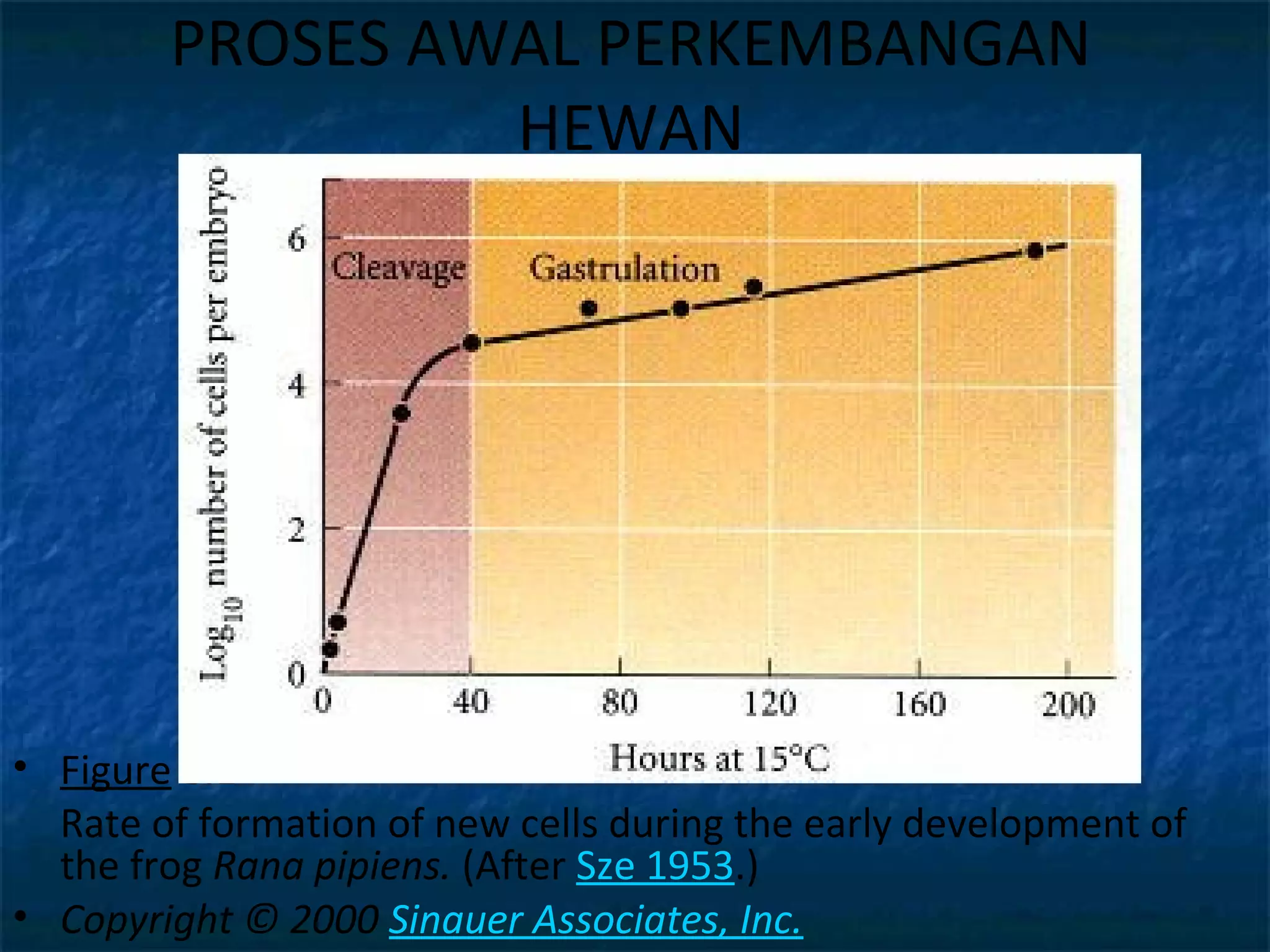 Perkembangan Embrio | PPT