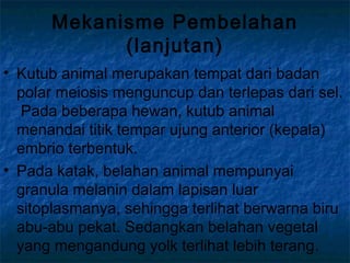 Perkembangan Embrio | PPT